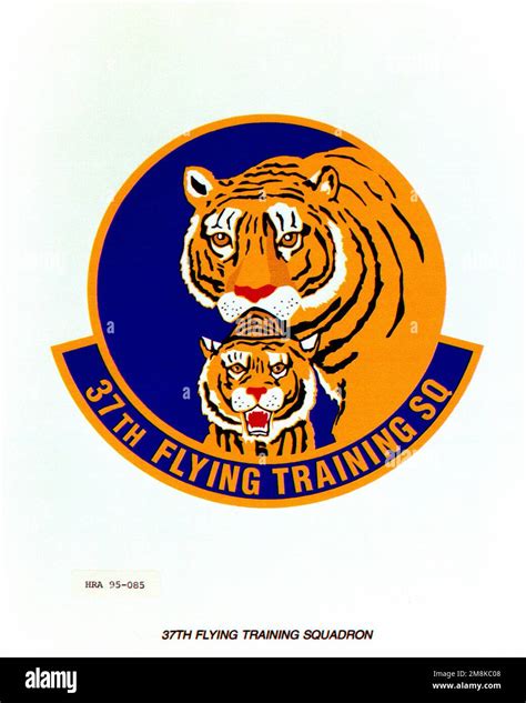 Approved Insignia For The 37th Flying Training Squadron Exact Date Shot Unknown Base Maxwell