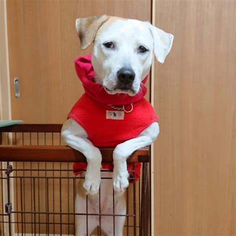 Nerlie Maruta Youtube