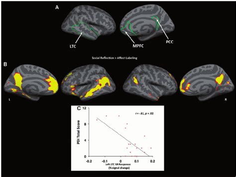 The Results Of The Cortical Surface Based Fmri Analyses A The Download Scientific Diagram
