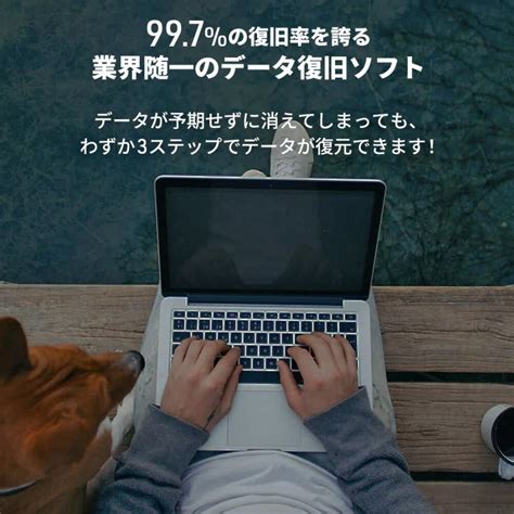 データ復旧ソフト EaseUS Data Recovery Wizard Pro 1ヶ月ライセンス 復元 リカバリー ダウンロード版