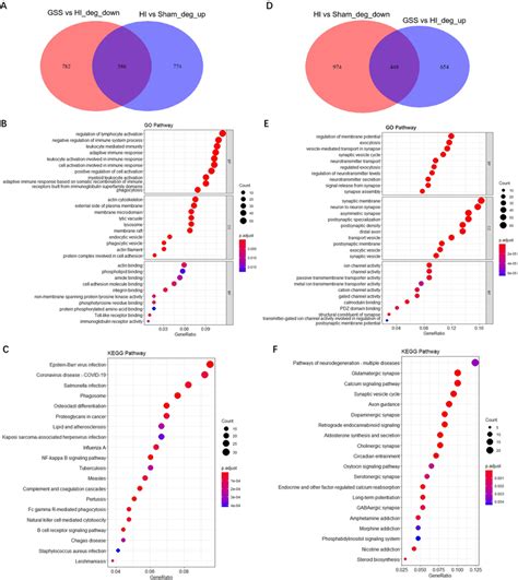 Go And Kegg Functional Enrichment Analysis Of Genes Upregulated And