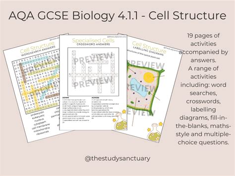 Cell Structure Activities Aqa Gcse Biology 4 1 1 Teaching Resources
