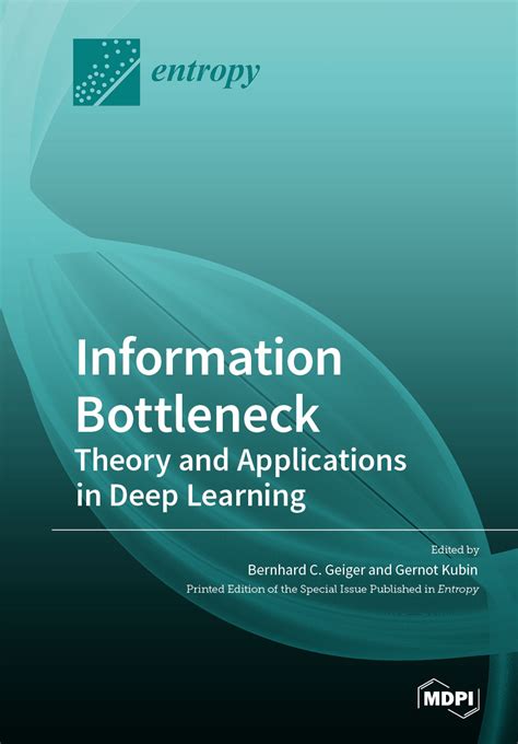 Information Bottleneck Mdpi Books