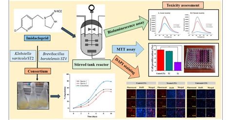 Pranjal Tripathi Phd On Linkedin Bioremediation Of Imidacloprid In A