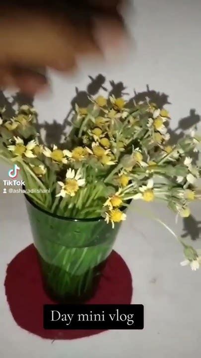 සතිය මැද නිවාඩු දවසක් ️ Youtube