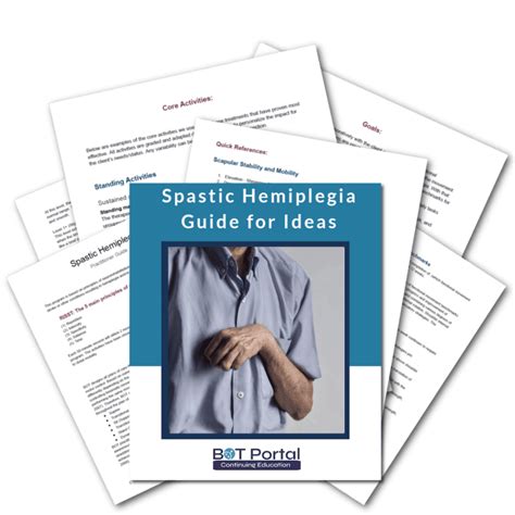 Flexor Synergy Vs Extensor Synergy Patterns