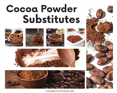 The Best Cocoa Powder Substitutes To Use The Olive Branch Nest