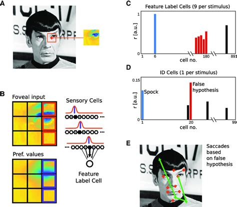 Feature Detection And Ambiguity Download Scientific Diagram