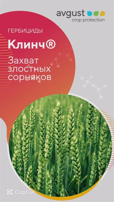 Август Казахстан 🌱 Ержан Беков КХ «Беков Алакольский район поделился отзывом о