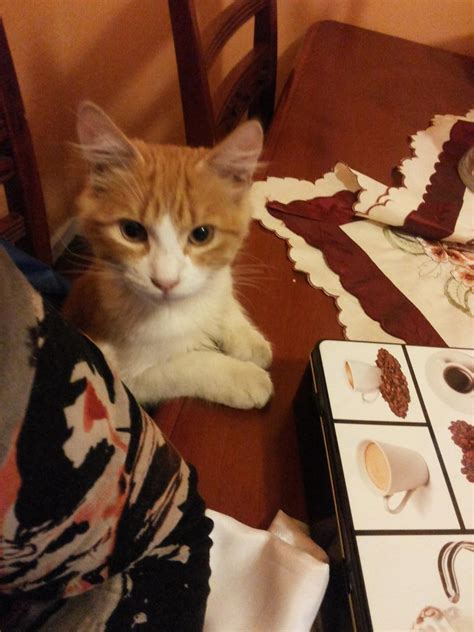 Devora Devy298 Twitter