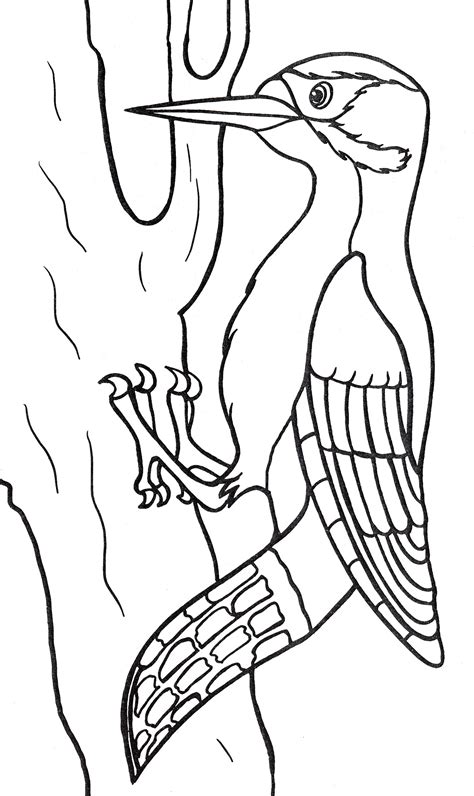 Дятел Рисунок 70 фото