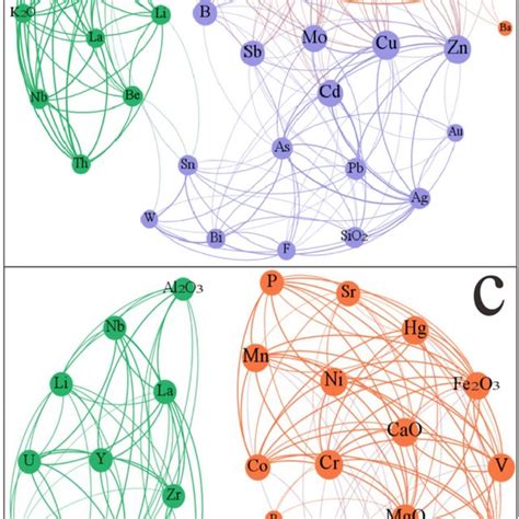 evolution of the topological correlation structures in complex networks