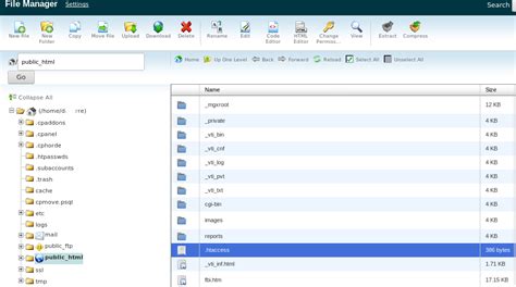 How To Change Default Index Page In CPanel