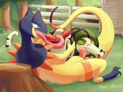 Rule 34 2 Penises Animal Genitalia Animal Penis Blue Eyes Diphallia Rule 34 2 Penises Animal Genitalia Animal Penis Blue Eyes Diphallia