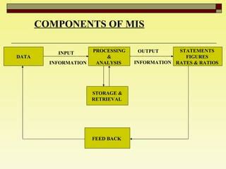 Management Information System Ppt