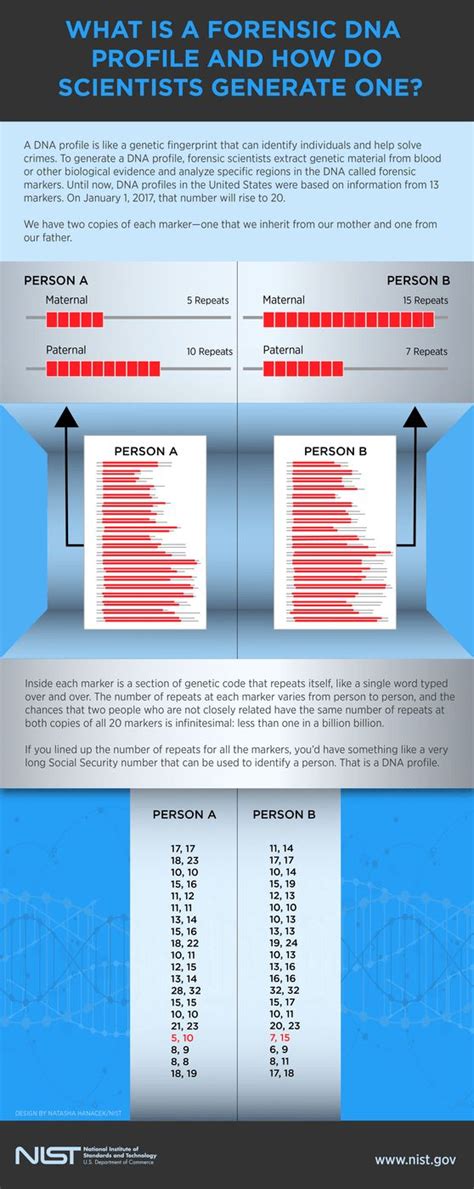 Infographic Forensic Dna Profiling Types