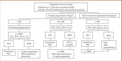 Exemple De L Algorithme