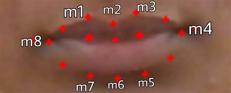 Eye Controlled Virtual Mouse Devpost