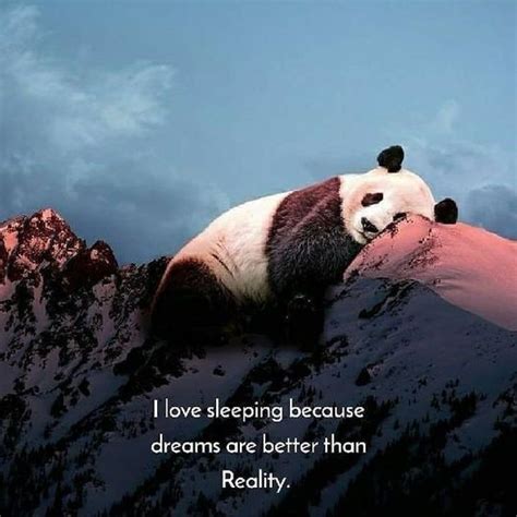 I Love Sleeping Because Dreams Are Better Than Reality Dream Big