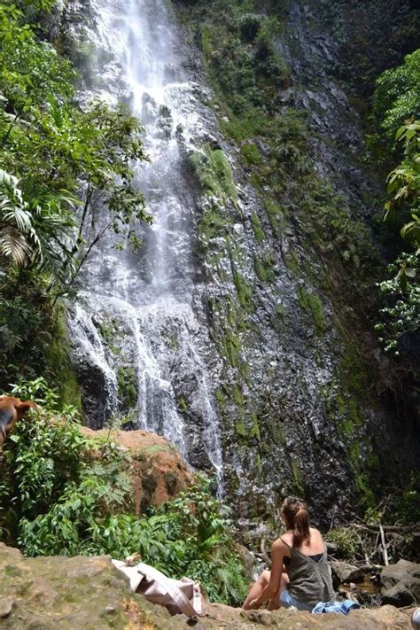 La Tigra National Park Nearby Tegucigalpa Honduras