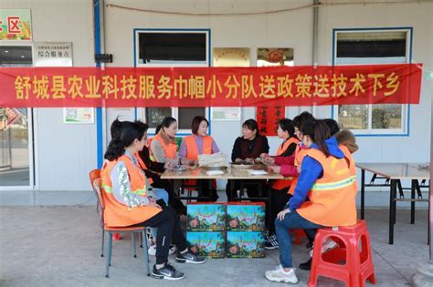 县农业农村局农业巾帼送技下乡 服务助农增产增收 舒城县人民政府