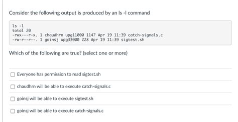 Solved Consider The Following Output Is Produced By An Is I Chegg