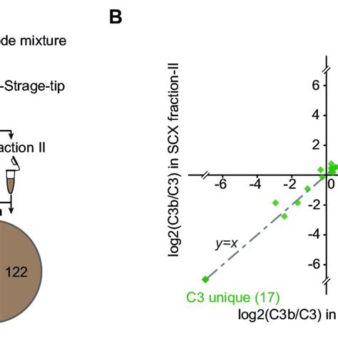 Construction Of Pinpoint Peptide Library For Cross Linked Peptides A Download Scientific