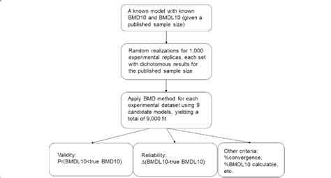 Simulation Based Assessment Of Model Selection Criteria Using The
