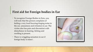 First Aid In Foreign Bodies Skin Eye Ear Nose Throatpptx