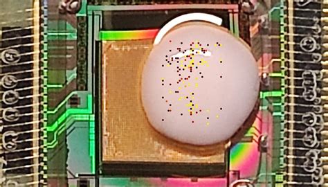 Multi Electrode Array Mea For Neural Organoids Stemcell Technologies