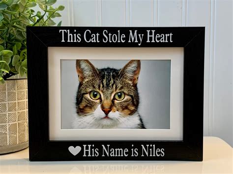 Cat T Cat Frame Cat Picture Frame Cat Photo Frame Personalized
