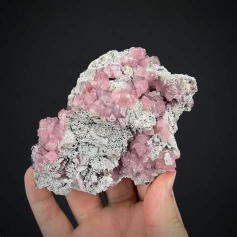 Special Dr Erika Pohl Collection Auction