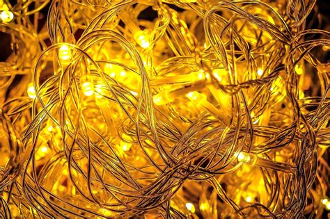 무료 사진 전구 조명 장식