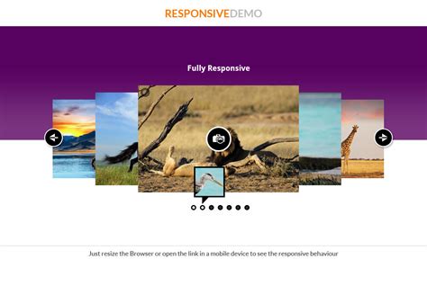 Multimedia Responsive Carousel With Image Video Audio Support