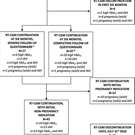 Flowchart Of RT CGM Use And Discontinuation Among Adults With Type 1 Download Scientific