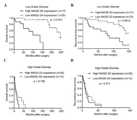 Kaplan Meier Curves Showing The Survival Of Glioma Patients With