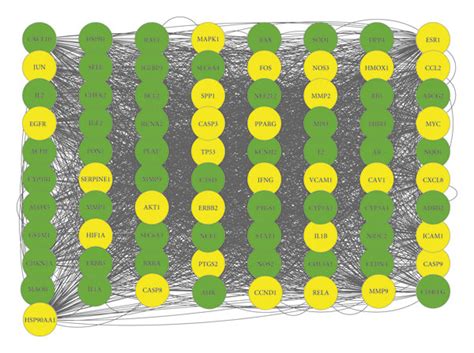 Process Of Topological Screening For The Ppi Network A Ppi Network Download Scientific