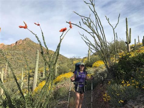 How I Stay Safe On The Trail Items I Bring While Hiking