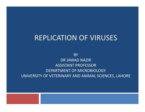 Replication Of Viruses Pdf