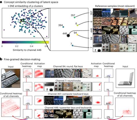 Nat Mach Intell 速递：通过概念相关性传播提高人工智能可解释性 集智俱乐部