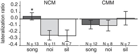 Lateralization Ratios In The Ncm And Cmm After Exposure To Song