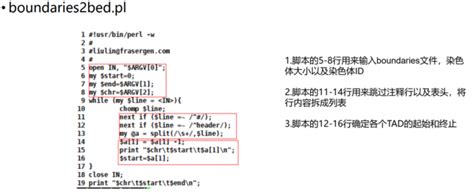 三维基因组技术（五）：tad 分析流程 Public Library Of Bioinformatics