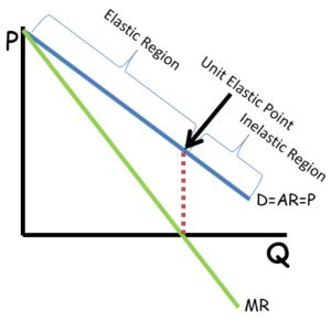 What You Need To Know About Elasticity Coefficients ReviewEcon Com