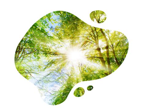 Energy Compliance Businesswise Solutions