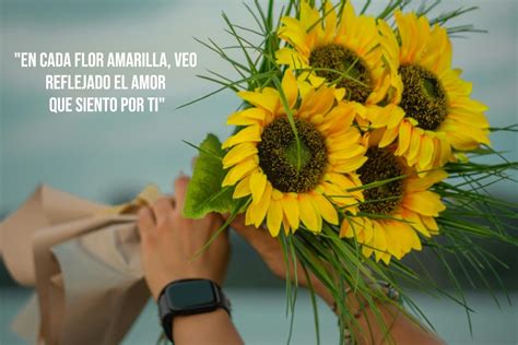 Frases Para Flores Amarillas 50 Mensajes Para Dedicar A Tu Pareja Este 21 De Septiembre El