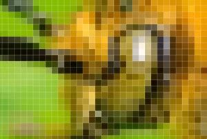 Saiba como é formada uma imagem em bitmap raster