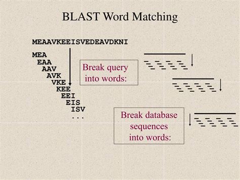Ppt Sequence Similarity Searching Powerpoint Presentation Free Download Id 377595