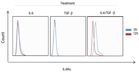Synergy Between Il 6 And Tgf β Signaling Promotes Foxp3 Degradation Pmc