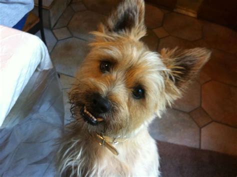 32 Lovable Underbites To Make You Smile The Dodo