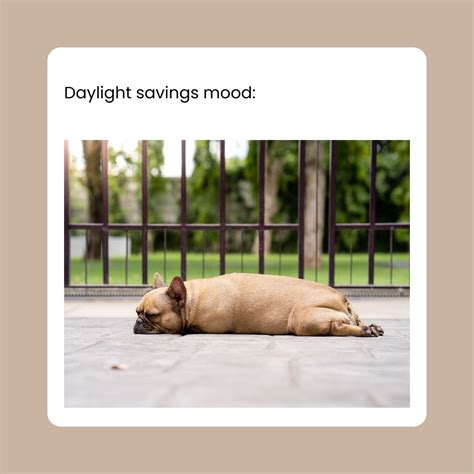 Marirose Roach On Linkedin Dont Forget Its Almost Time To Spring